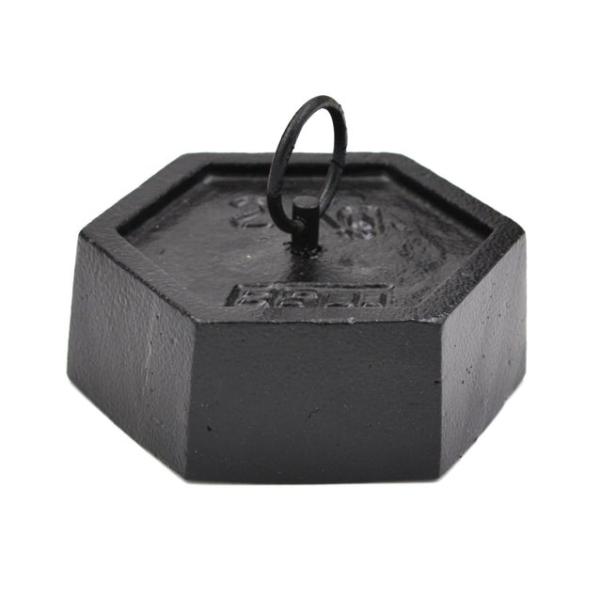 Eisco Iron Masses - Hexagonal with Lifting Ring - 2000g - Labs PH0268F