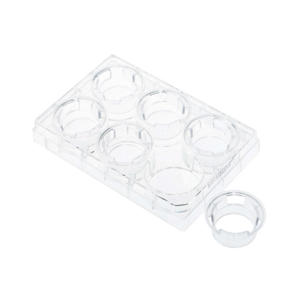 Bellco Permeable Cell Culture Inserts, 12/Case 2306-01000