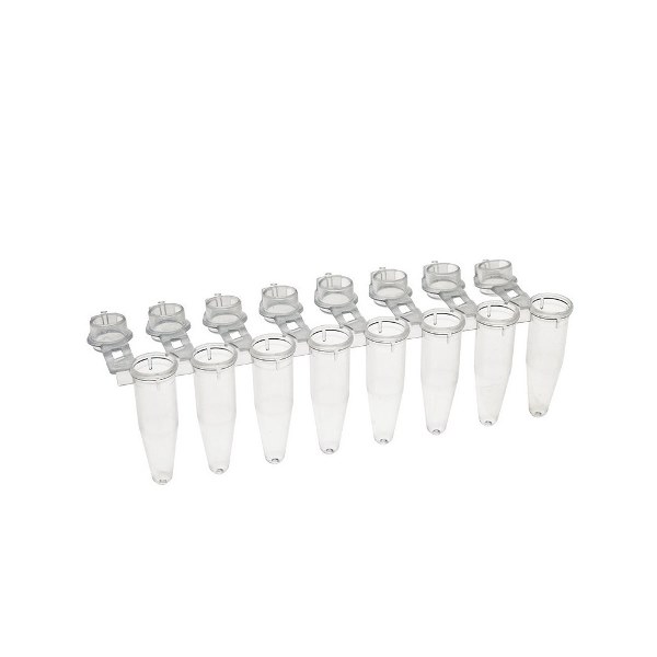 Simport Amplitube 8 Tube Strips With Individually Attached Caps, Domed ...