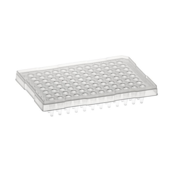 Simport Amplate Raised Rim Thin Wall PCR Plates, 200 µl / With Skirt ...