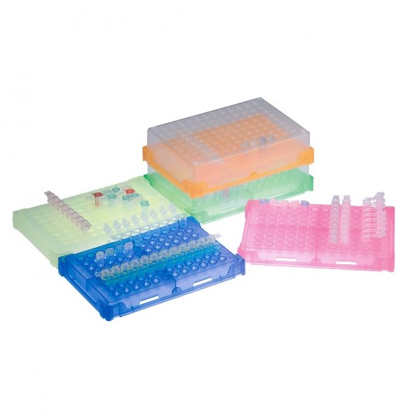 Simport Pcrack with Clear Lid, Assorted (Cs/20) T328-96AS