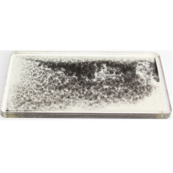 United Scientific Magnetic Field Demonstrator (Qty 1) MGFD03