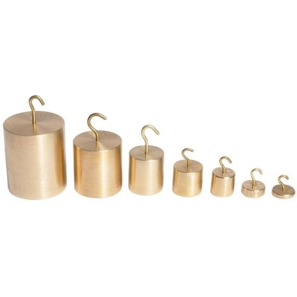 United Scientific 500g Individual Hooked Brass Masses WHB500