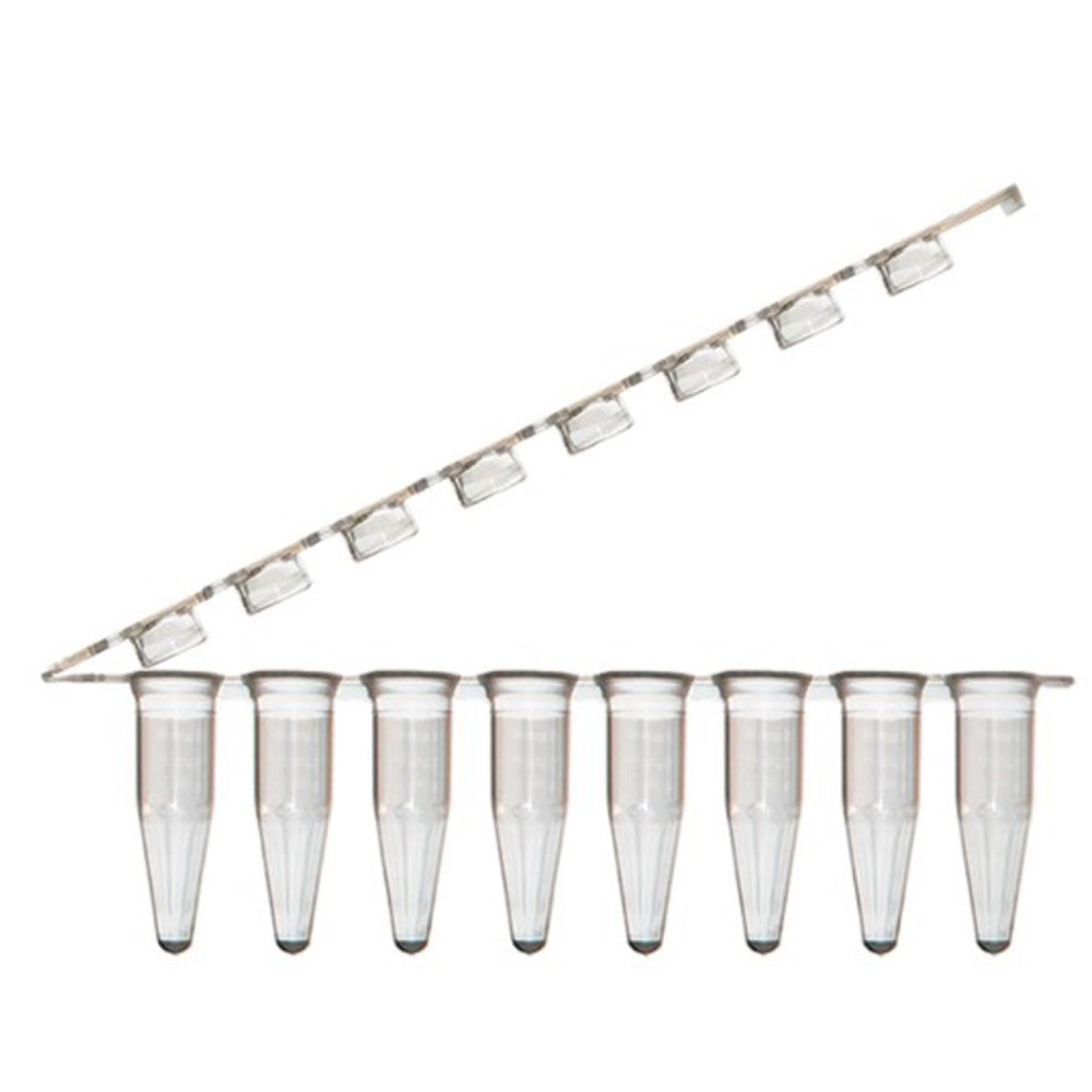 BioFlex 8-Strip Tubes with Hinged Attached Flat Caps, 0.2ml (qty 125 ...