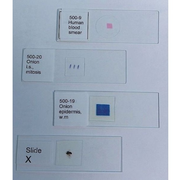 United Scientific Compact Bone, CS 500-22