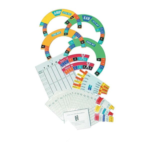 United Scientific DNA Manipulatives Kit DNAKIT