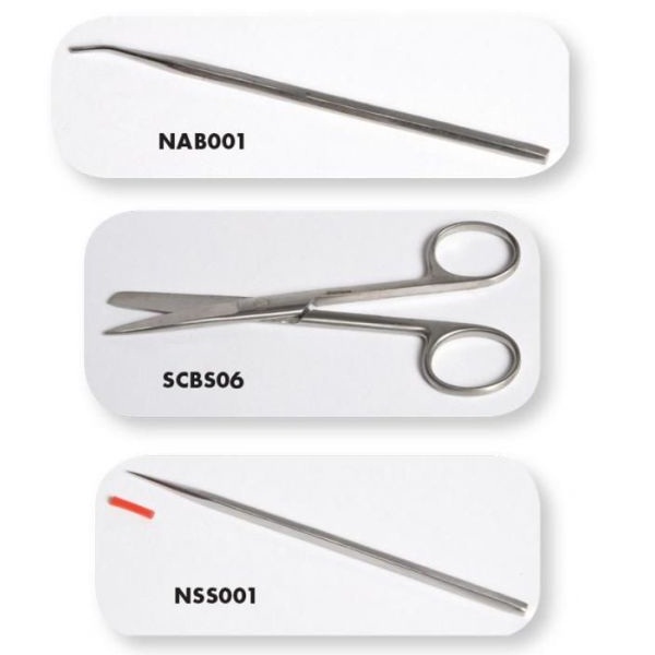United Scientific Teasing Needle, Blunt, Angular NAB001 Lab Equipment ...