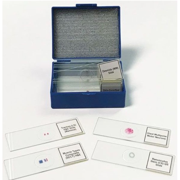 United Scientific Biology Prepared Slide Set of 14 SLD014 Lab Equipment ...