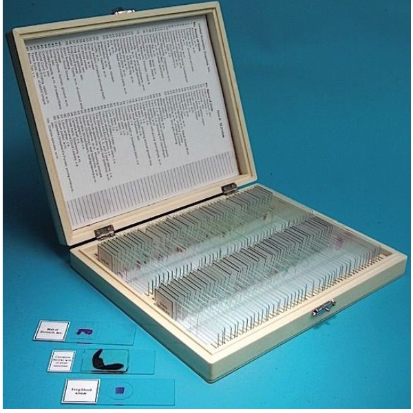 United Scientific Prepared Slide Set of 100 SLD100-N Lab Equipment ...