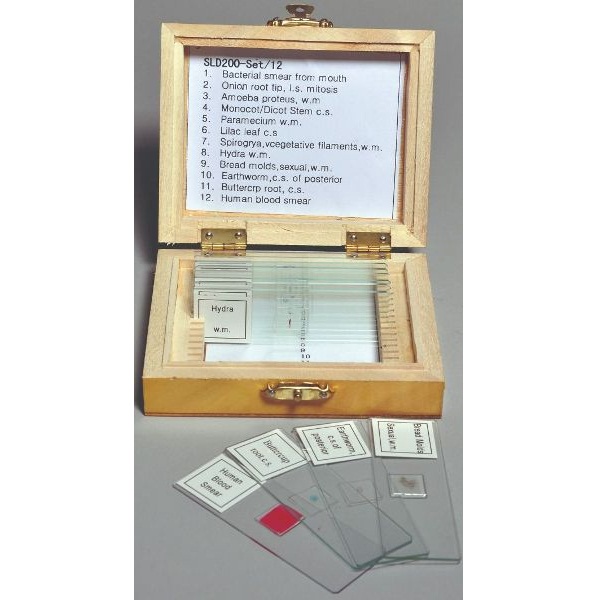 United Scientific Biology Prepared Slide Set of 12 SLD200-SET/12 Lab ...