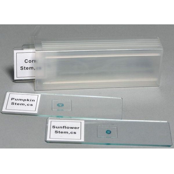 United Scientific Prepared Slide Set of 4 SLDSET4