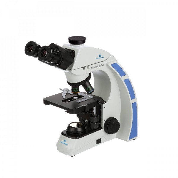 Accu Scope 3000-LED Series Binocular Microscope with Slider Phase Set ...