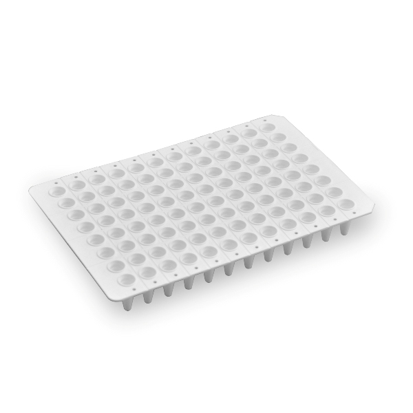 Mtc Bio 0.1mL Non-Skirted, White, PCR Plates PK/50 P9601-NW Lab ...