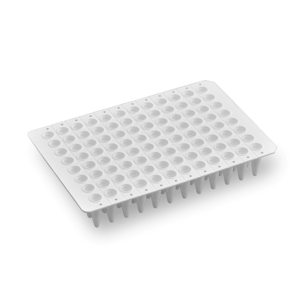 Mtc Bio 0.2mL Non-Skirted, White, PCR Plates PK/50 P9602-NW Lab ...