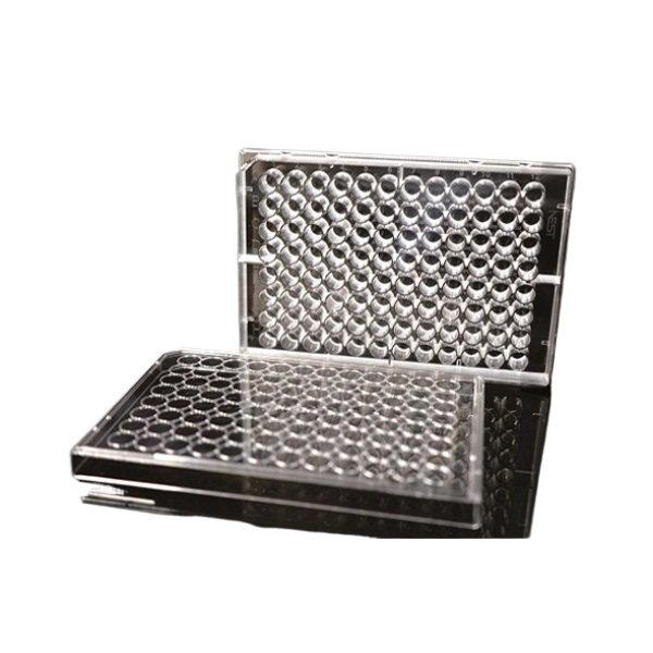 Nest 6 Well Low Evap Edge Plate, Flat Bottom, Non-Treated, Sterile, 1 ...