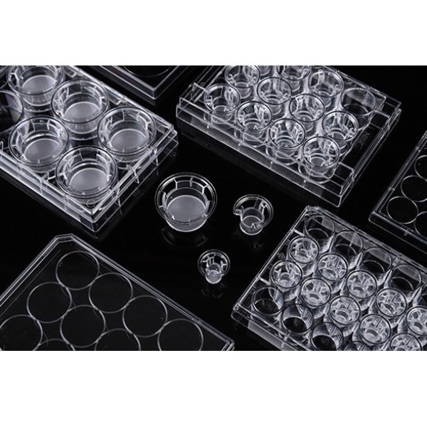 Nest 12 Cell Culture Inserts+12 Well Plate, 0.4 μm, PET, Opaque, TC ...