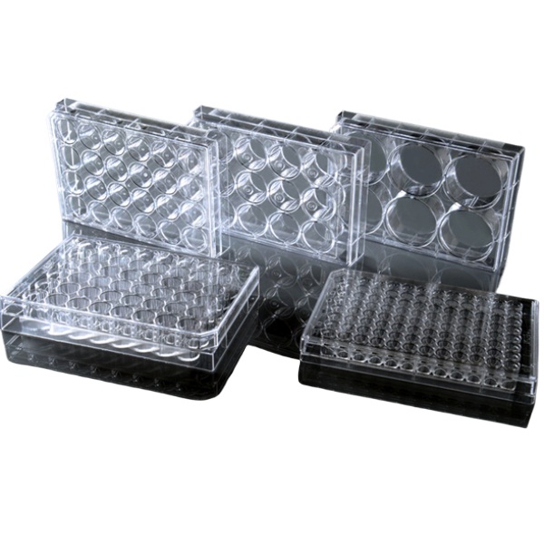 Nest 384 Well Cell Culture Plate, Black, Flat Bottom, Tc, Sterile, 1 ...
