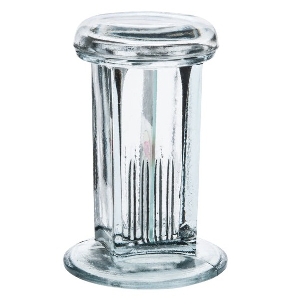 Eisco Coplin Staining Jar, Fits Up to Five 76x25mm Slides, 4.25" Tall ...