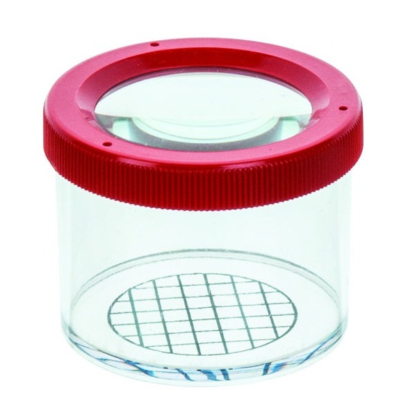 Eisco Round Bug Viewer with Magnifier Lid - 4x Magnification - Eisco ...