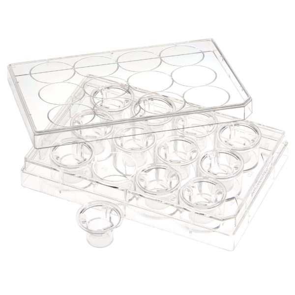 Celltreat Permeable Cell Culture Inserts, Packed in 12 Well Plate, PC ...