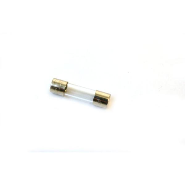 Eisco 5X20mm 630mA Glass Fuse for Goggle Sanitizer Cabinet - Labs ...