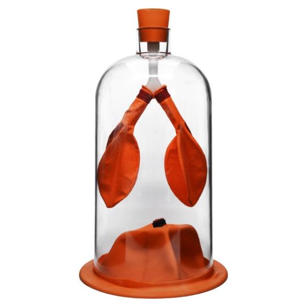 Eisco Lung Function Demonstration Model, 13 Inch - Rubber & Plastic ...