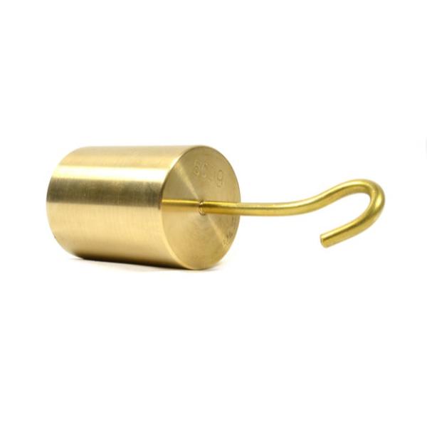 Eisco Labs Individual Hooked Weights - Brass - 500g PH0259A5