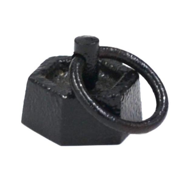 Eisco Iron Masses - Hexagonal with Lifting Ring - 50g - Labs PH0268A