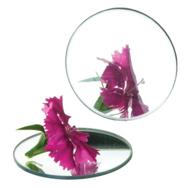 Eisco Concave Mirror - 3" Dia., 100mm Focal Length - 2.8mm Thick ...