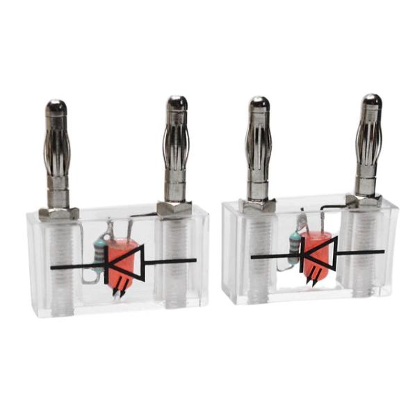 Eisco 2PK Replacement Light Bulbs for Motor Generator Activity Model ...