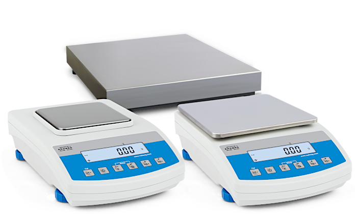 Radwag WLC 1/A2.IO Precision Balance WL-206-0159 Lab Equipment | Spectra Services