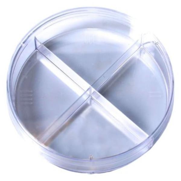 Qorpak Petri Dish 100X15mm Quad Plate Slippable No Rim Sterile 500/Cs ...