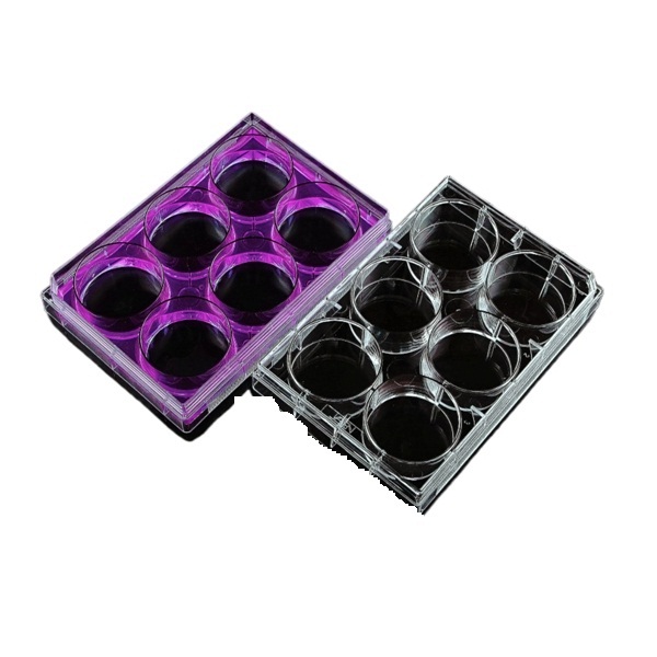 Bellco 384 Well Cell Culture Plate, White, Flat Bottom, Non-Treated ...