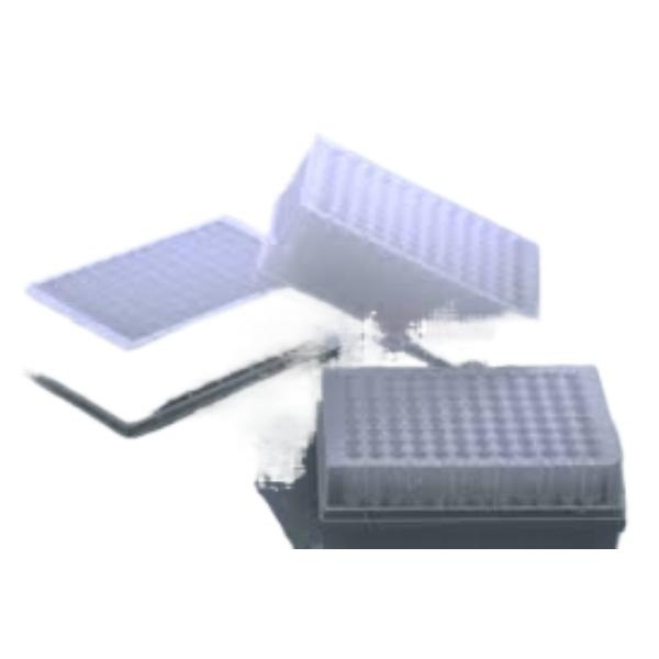 Bellco 0.5 ml 96-Well Deep Well Plate, V Conical Bottom, Square, Non ...