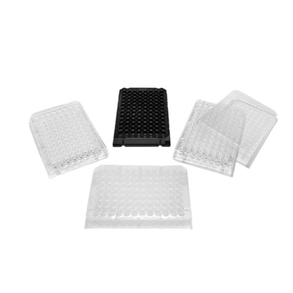 Bellco 96 Well Mplate Fb Trtd (Qty 100) 1300-01005