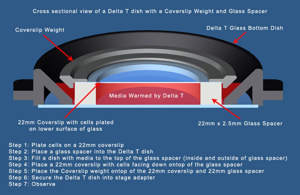 Bioptech 22mm Coverslip Weight 0420-0323-1
