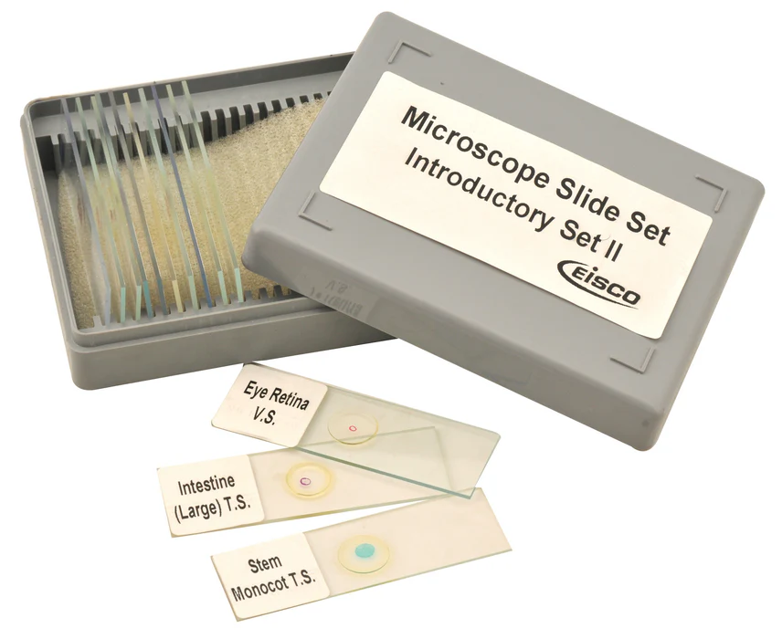 Eisco Microscope Slide Set - Introductory Set No. II, Set of 12 BI0278
