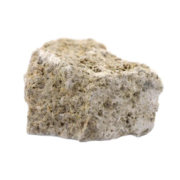 Eisco Raw Fossiliferous Limestone, Sedimentary Rock Specimen Approx. 1 ...