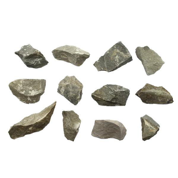 Eisco Argillaceous Shale Specimen (Sedimentary Rock), Approx. 1" (3cm ...