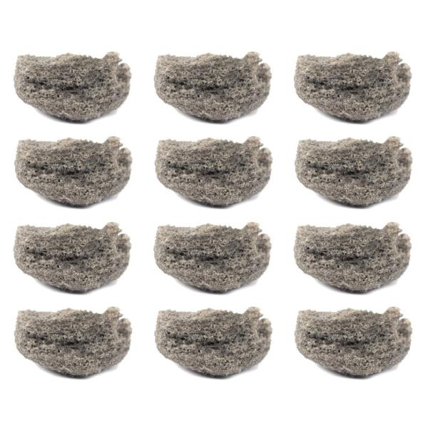 Eisco 12PK Raw Pumice Rock Specimens, 1" - Geologist Selected Samples ...