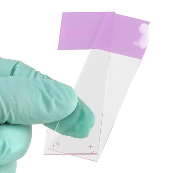 Globe Scientific Microscope Slides, Diamond White Glass, 25 x 75mm ...