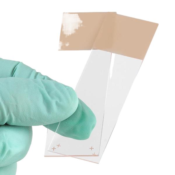 Globe Scientific Microscope Slides, Diamond White Glass, 25 x 75mm Tan ...