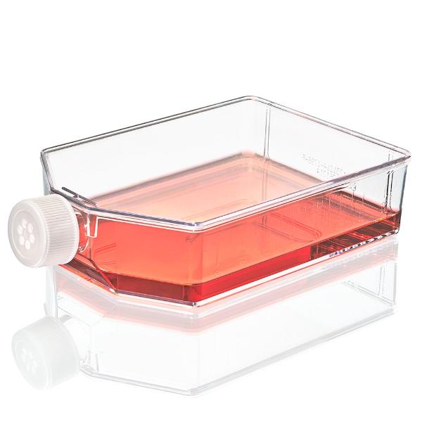 Globe Scientific Cell Culture Flask, Non-treated, 850mL 25/Case TC-FLSK ...