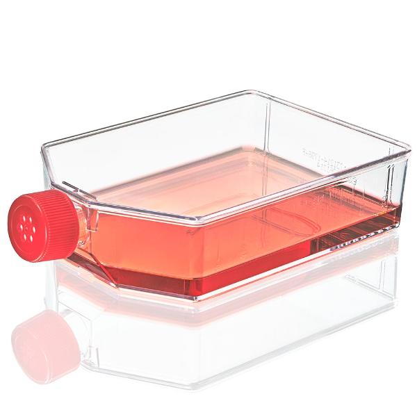 Globe Scientific Cell Culture Flask, Tissue Culture Treated, 225cm2 5 ...