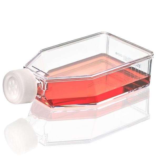 Globe Scientific Cell Culture Flask, Non-treated, 250mL 100/Case TC ...