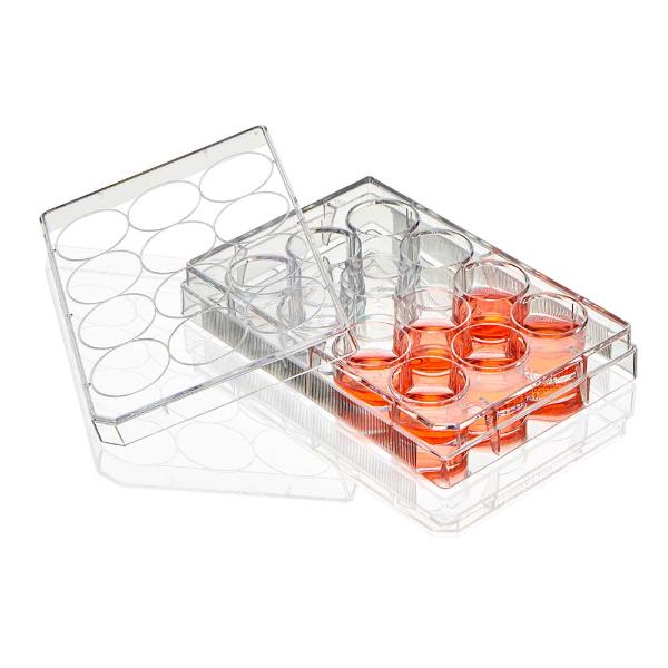 Globe Scientific Multiple Well Plate, 12 Well, Flat Bottom, Non-treated ...