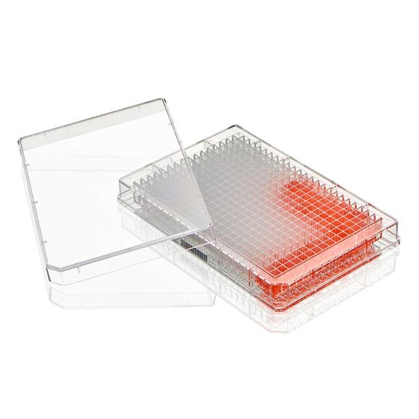 Globe Scientific Multiple Well Plate, 384 Well, Flat Bottom, Tissue ...