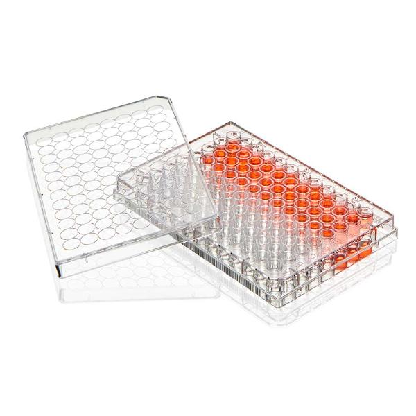 Globe Scientific Multiple Well Plate, 96 Well, Flat Bottom, Non-treated ...