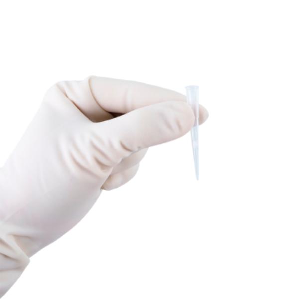 Dynarex Universal Pipette Tips with Filter, 1.0-20 μL, Transparent, 5 ...