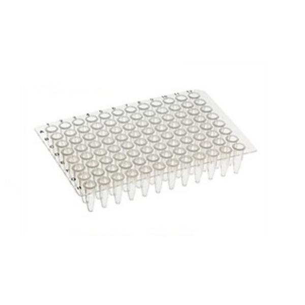 Bio Plas 0.2 mL Universal PCR Plate, Non-Skirted, Standard, White 10/Pk ...